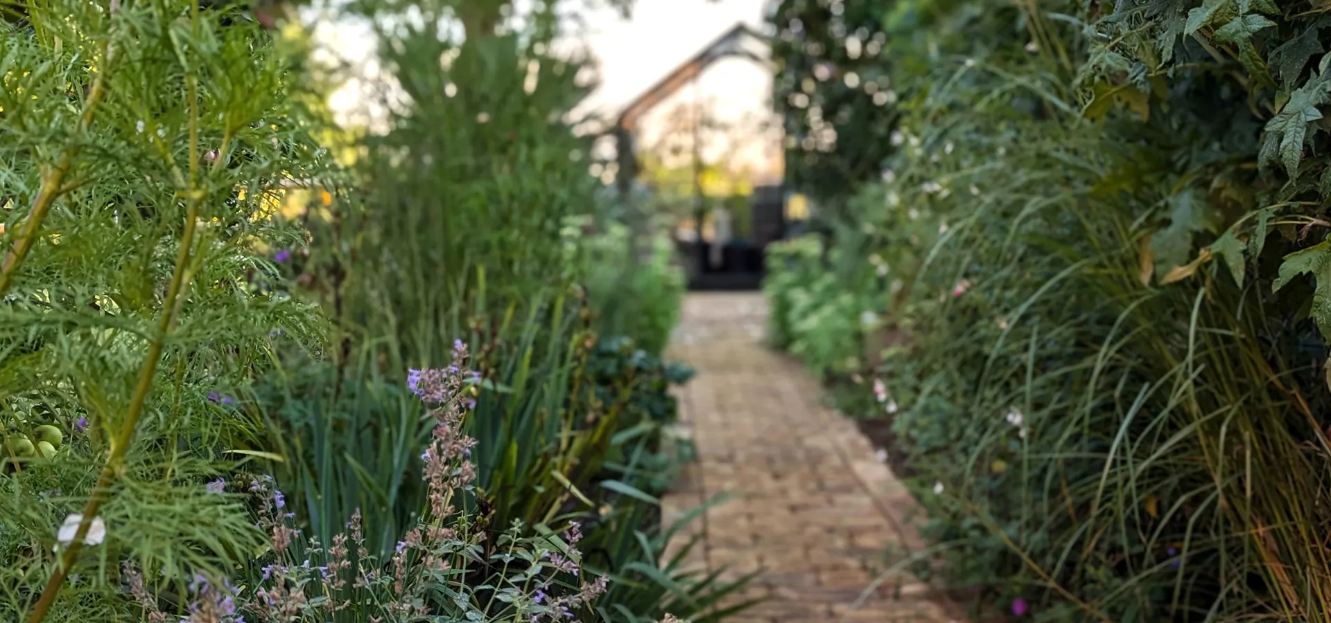 Garden Design for Godalming, Surrey | Camelia Ann Gardens